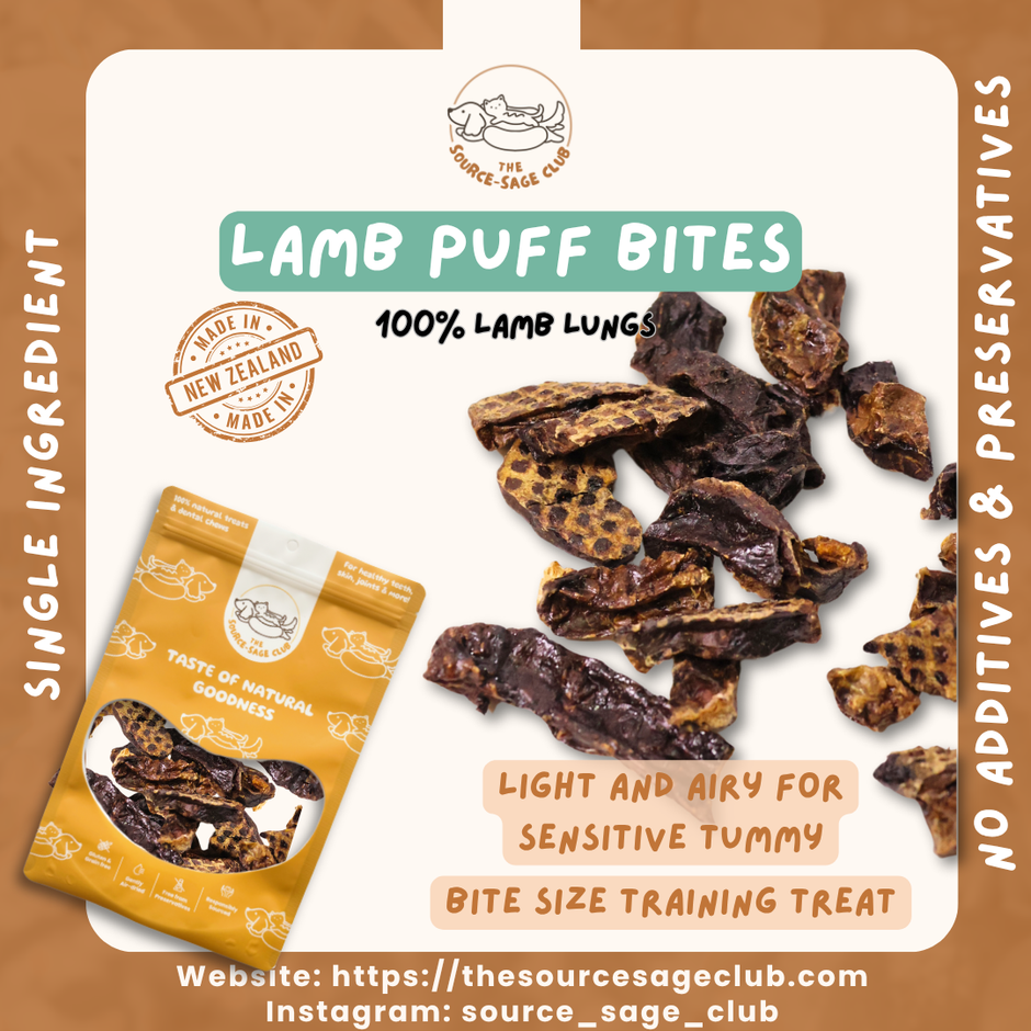 Single Ingredient Treats for Dogs and Cats – The Source-sage Club