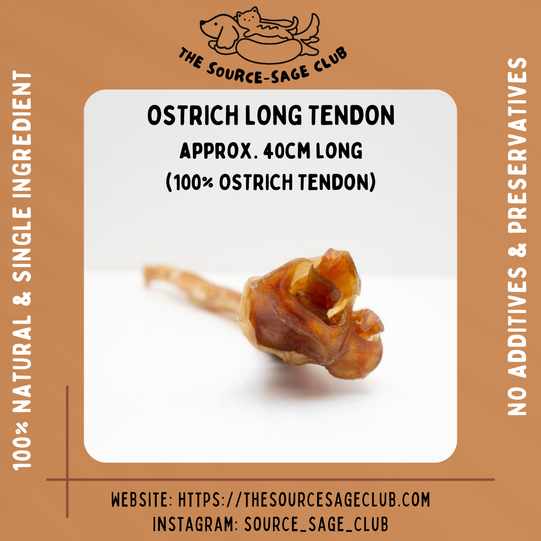 Ostrich Long Tendon 1pc approx. 40cm long ((hypoallergenic, super low ...
