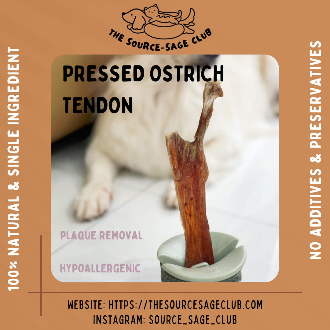 JR Pet Air Dried Pressed Ostrich Tendon Strips (dog treats dog dental ...