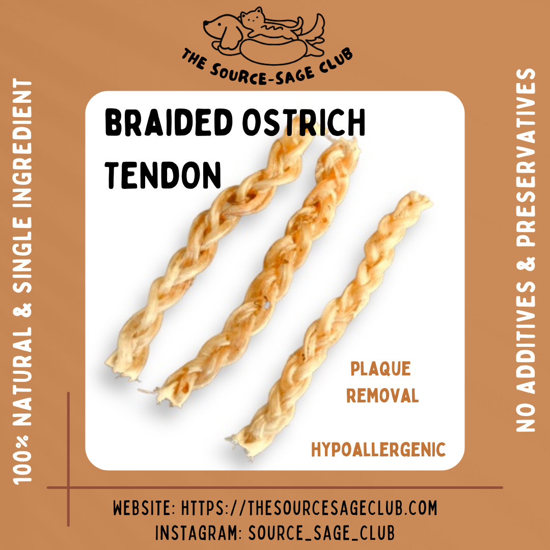 Air Dried Braided Ostrich Tendon – The Source-sage Club