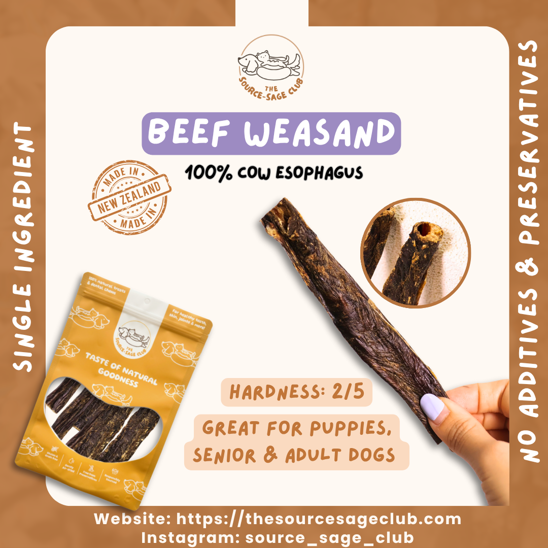 Air Dried New Zealand Beef Weasand 100g (6-8pcs) Beef dental chew (sin ...