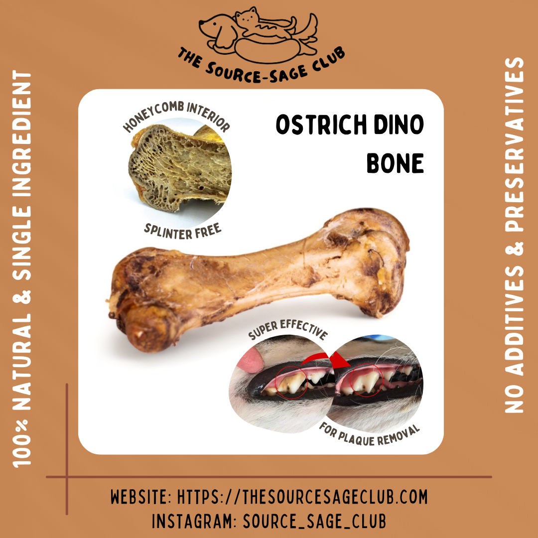 Air Dried Premium XL Ostrich Bone (dog treats dog dental chew) – The ...