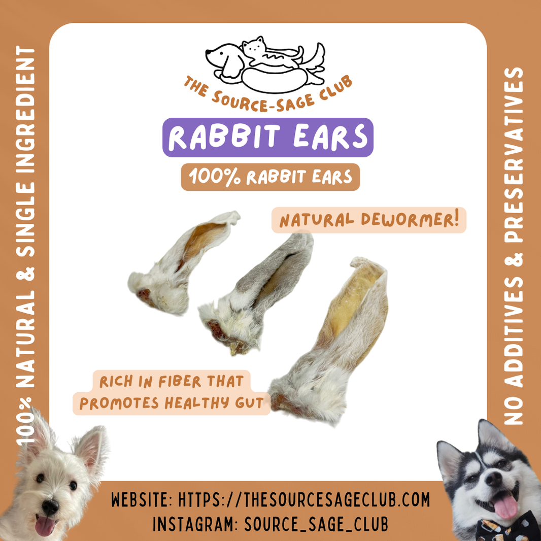 Rabbit Dental Chews for Dogs – The Source-sage Club